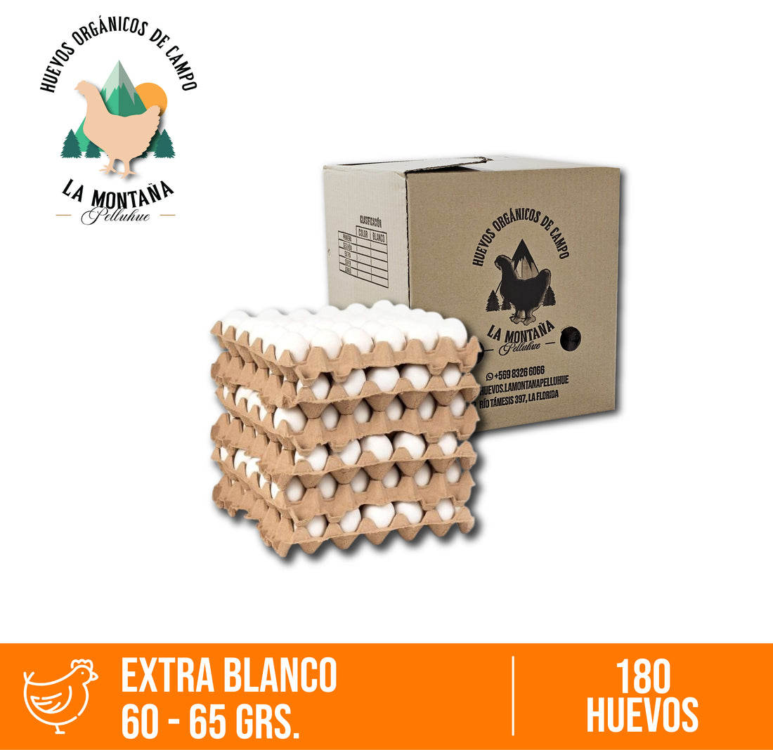 Caja huevos extra blanco 180 unidades – huevos la montaña pelluhue